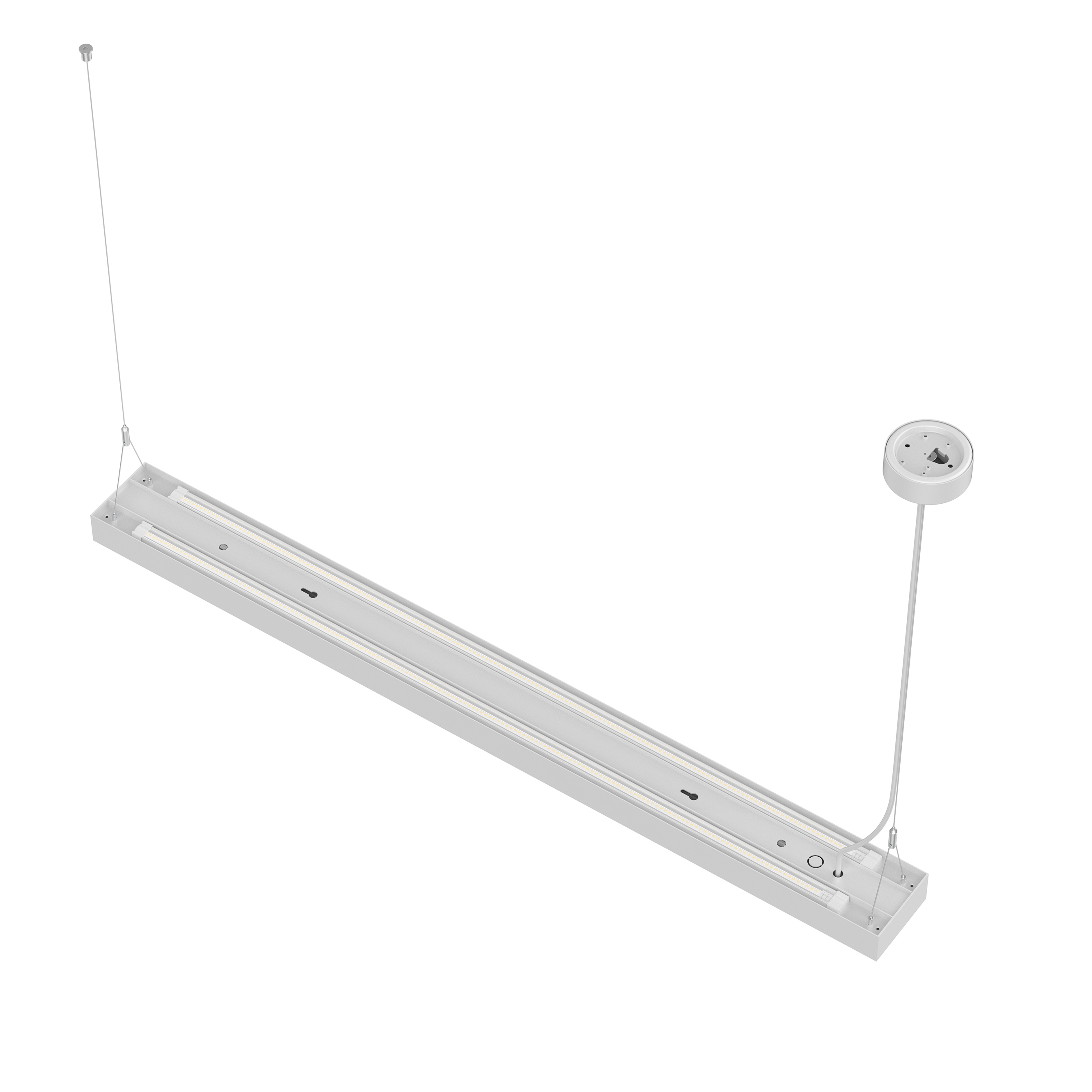 China NECO-WP Pendant Luminaire manufacturers and suppliers | Sundopt